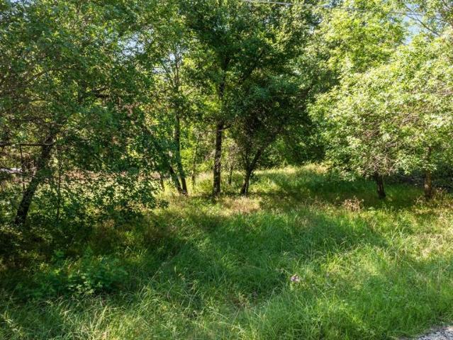 2549 Forest Park Drive