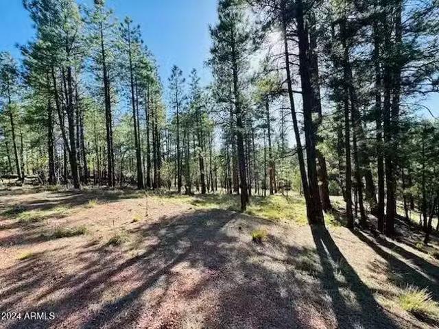 2549 Pine Valley Rd #681, Happy Jack, AZ 86024 MLS 6789787