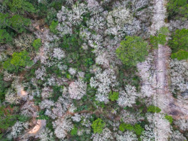 25415 N Clear Creek Rd, Hockley, TX 77447 | MLS #43187