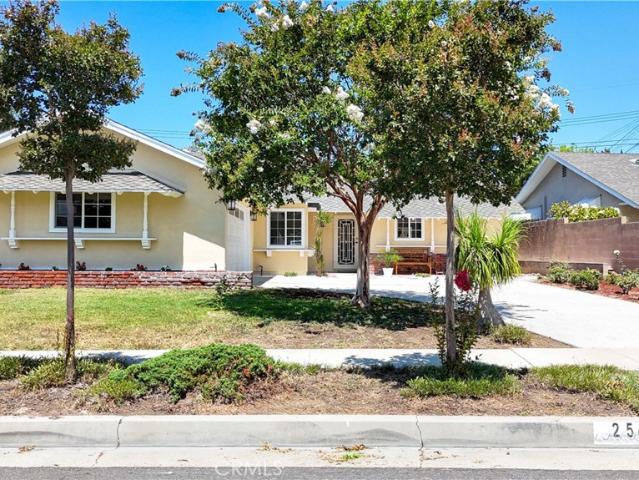2541 Summershade
