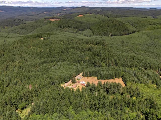 25420 NW Pumpkin Ridge Rd, North Plains, OR 97133 | MLS #445169