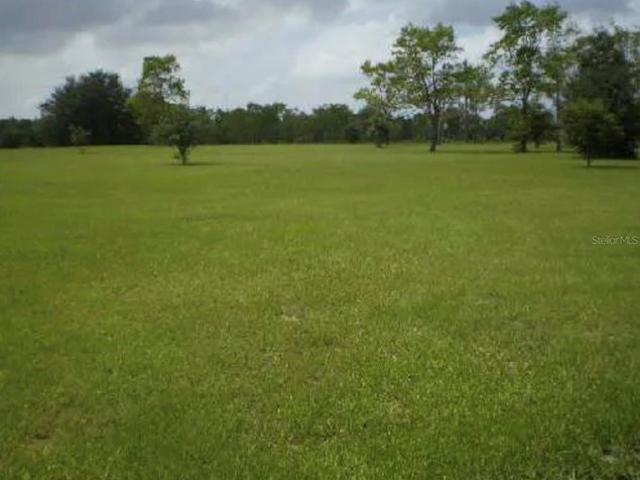 25429 Shetland Trl, Sorrento, FL 32776