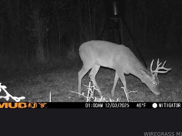 2543 S County Road 65