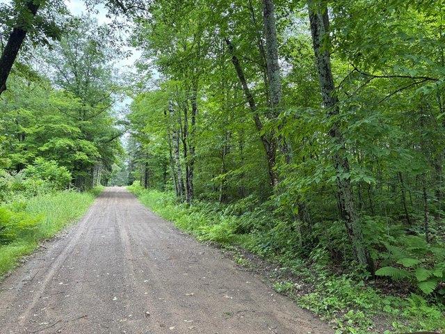 254th Ln, Hazelton Township, MN 56431