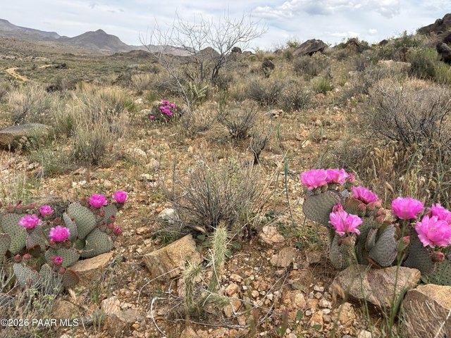 254 24 Mica, Kingman, AZ 86401