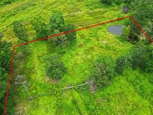 254 County Road 312 CR 312