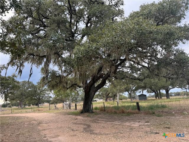 254 County Road 444, Yoakum, TX 77995 | MLS #596869 | Compass
