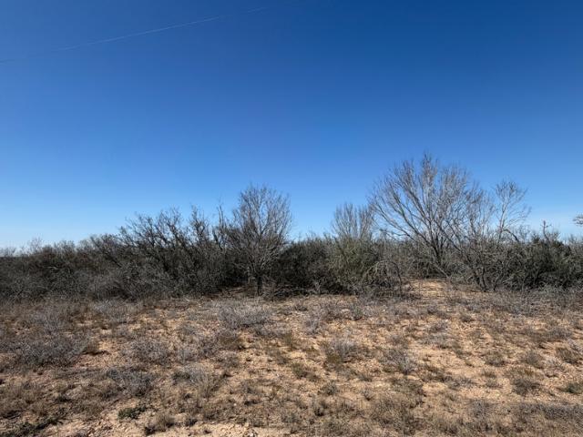 254 Frio Estates Dr, Moore, TX 78057 | MLS #1943 | Compass