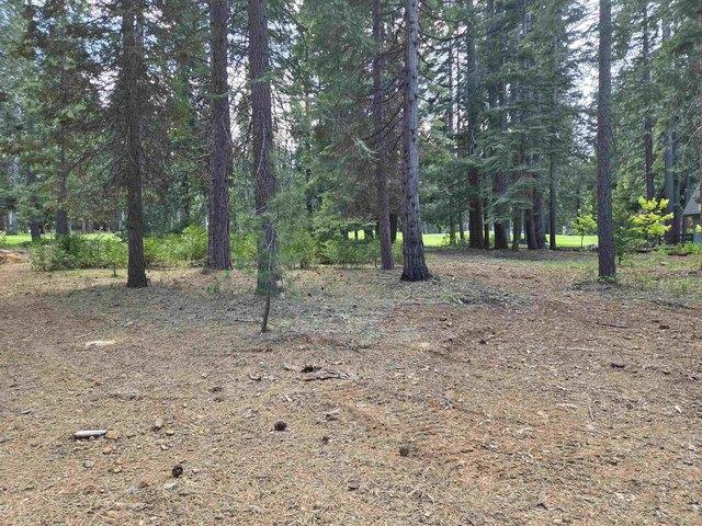 254 Lake Almanor West Dr, Chester, CA 96020