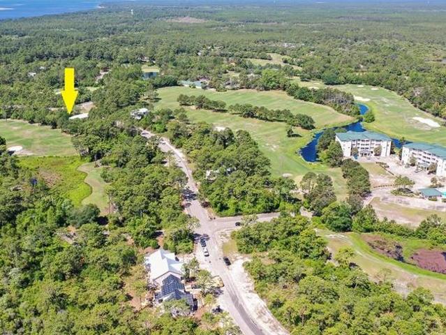 254 Royal Tern Way, Carrabelle, FL 32323 MLS 317639