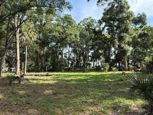 25555 SE Highway 19, Old Town, FL 32680
