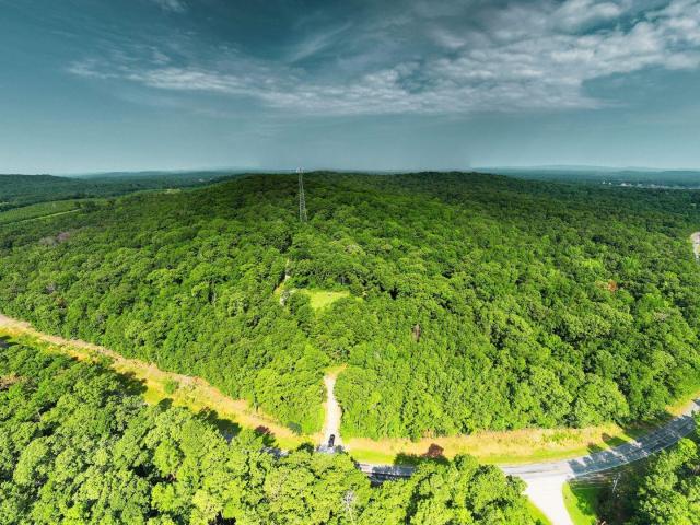 2555 Griffitt Bend Road # x