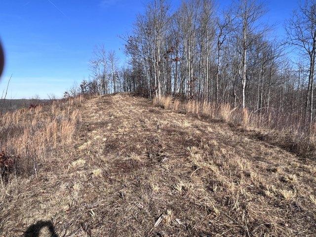 2555 KY 1071, Tyner, KY 40486