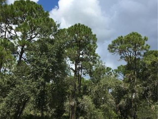 2555 Pleasant Dr, Sebring, FL 33875