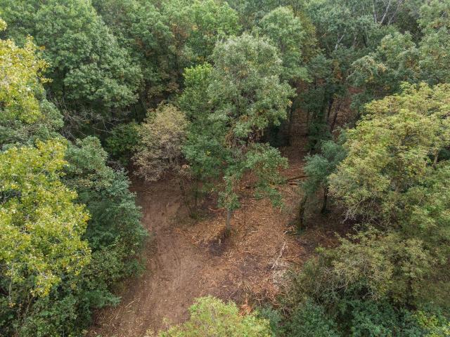 2555 Trading Post Trail S, Afton, MN 55001 | MLS #7090