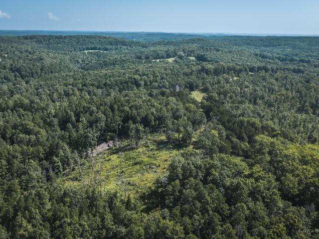 25598 County Road C 228