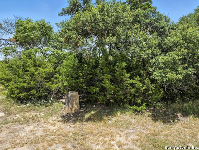 2559 George Pass