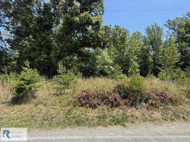 2559 Strawberry Rd, Chatham, VA 24531