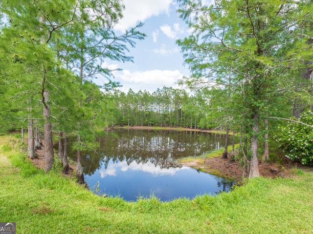 2559 Tabby Road