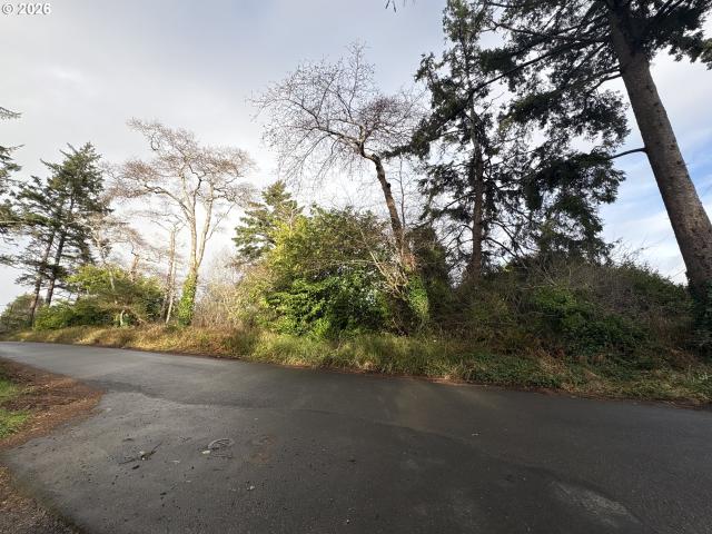 25502 Park Ave, Ocean Park, WA 98640 | MLS #265809