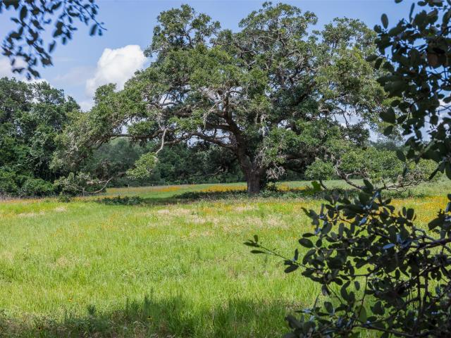 2550 County Road 201