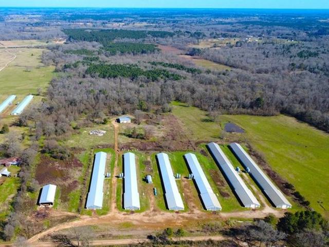 2550 County Road 4293, Center, TX 75935