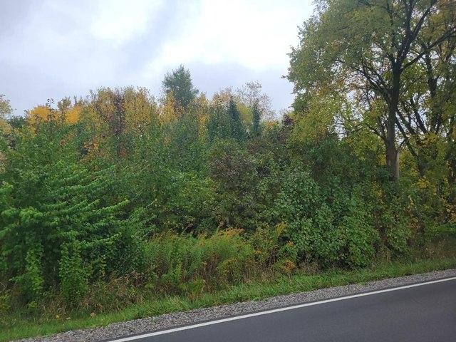 2550 W 153rd Ave, Lowell, IN 46356