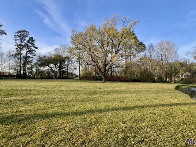 25534 Wax Rd, Denham Springs, LA 70726 | MLS #BR2026003