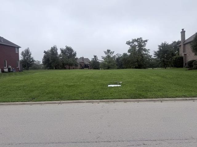 25538 S Devonshire Ln, Monee, IL 60449