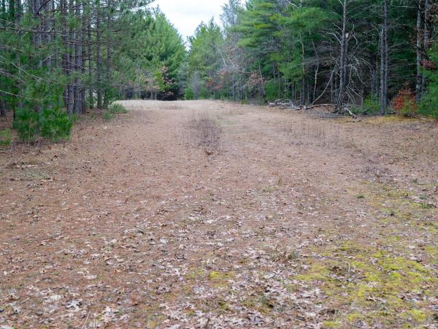 255.45 Ac Dover Drive