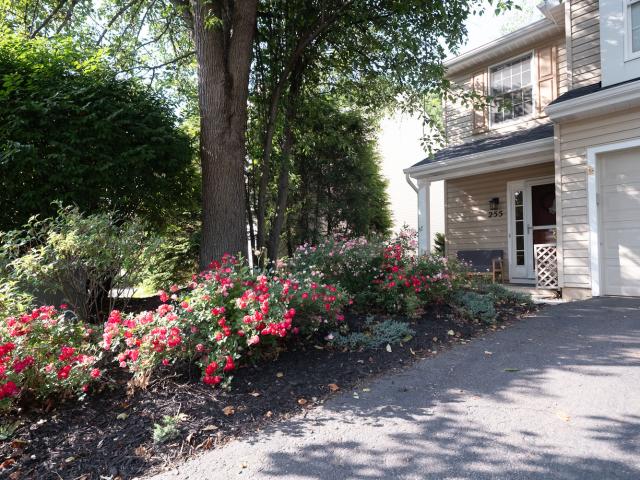 255 Commons Drive