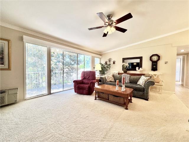 255 Calle Aragon P
