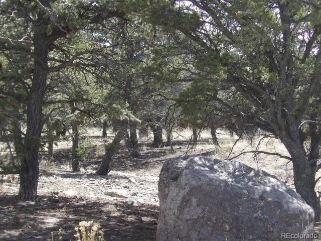 255 Baca Grant Way, Crestone, CO 81131 | MLS #1795