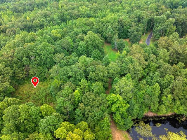 255 jason hollow rd