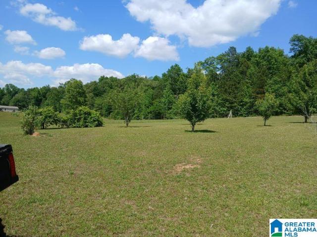 255 New County Line Road # 0