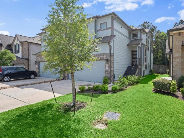 255 S Spotted Fern Drive