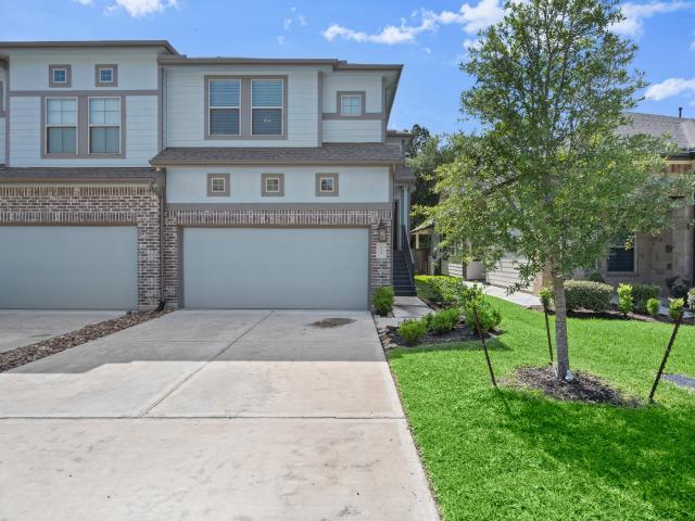 255 S Spotted Fern Drive
