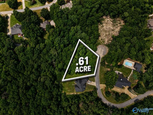 255 Shady Hollow Trail