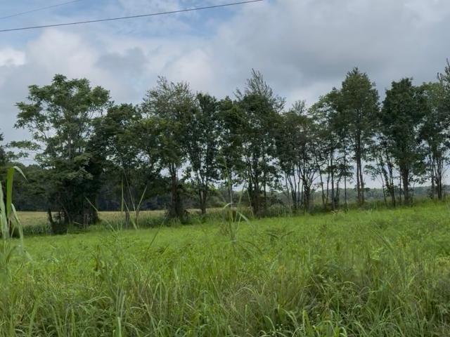 255 Shoals Rd, Rock Island, TN 38581 | MLS #3012 | Compass