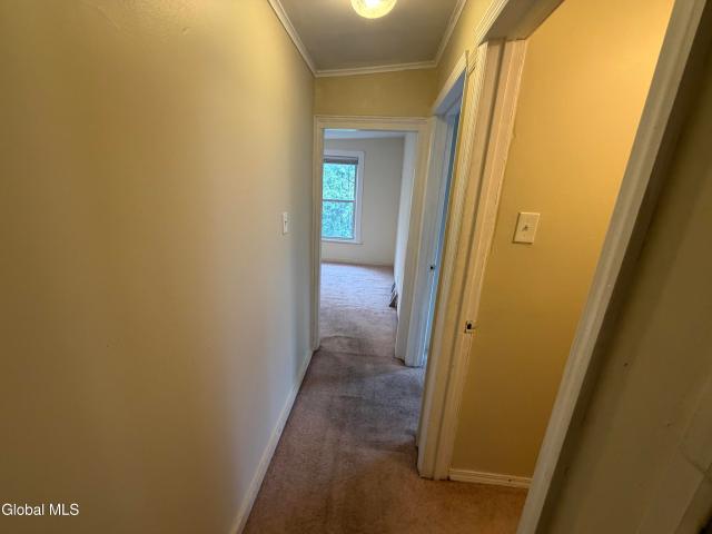 255 W Main Street Up #