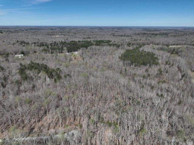 255 War Eagle Dr, Cedar Grove, TN 38321