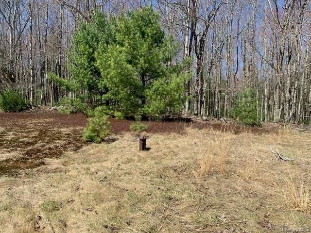 255 Wild Tpke, Rock Hill, NY 12775