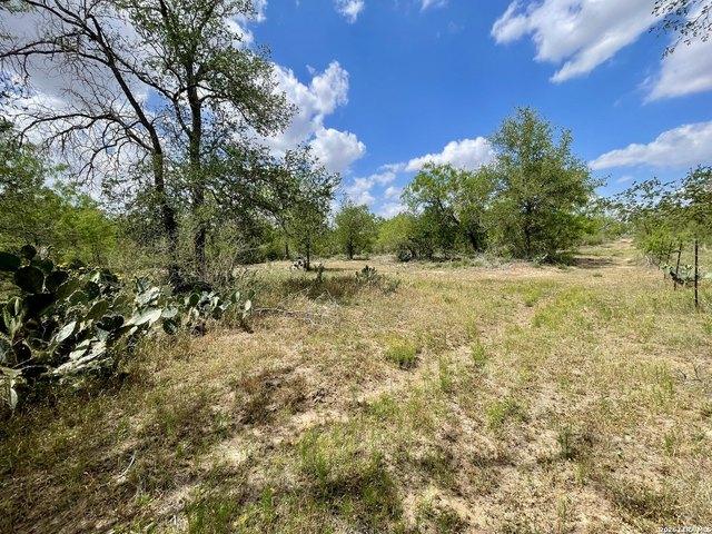 2566 FM 539 Lot 0, La Vernia, TX 78121