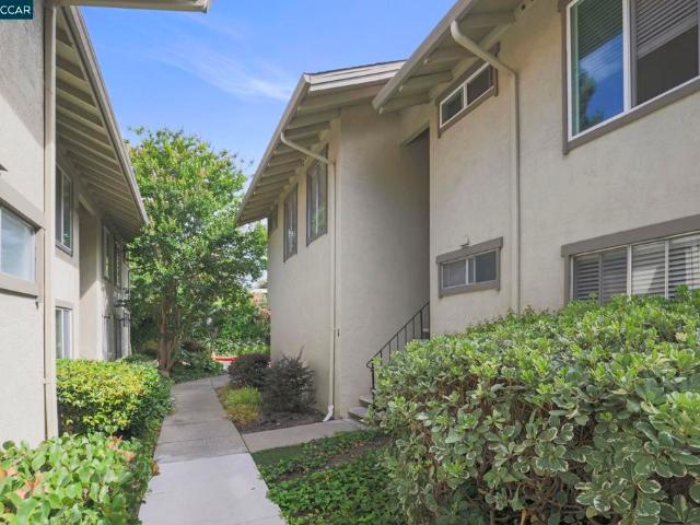 2560 Walnut Blvd 24