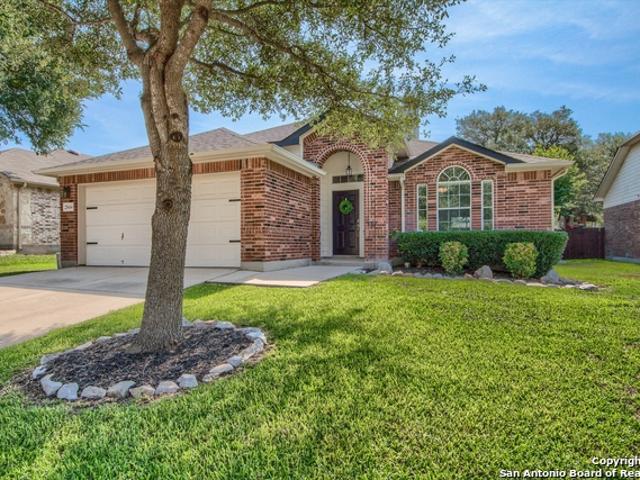 25614 Texas Ash