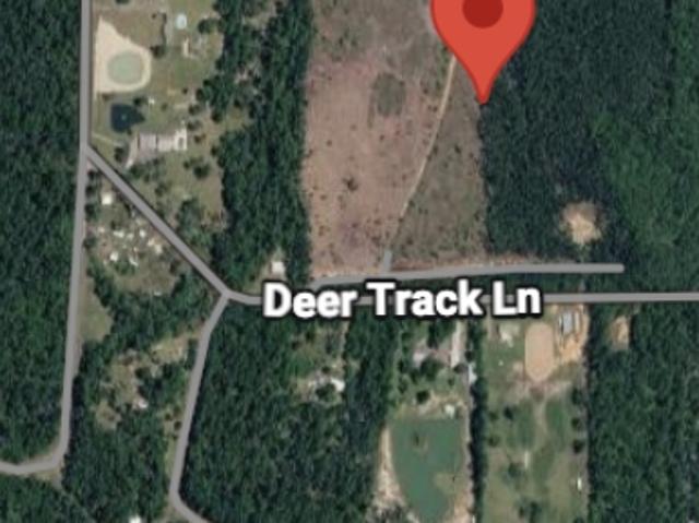 25615 Deer Track