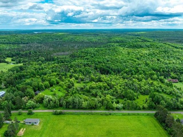 25615 Leo South Rd, Watton, MI 49970