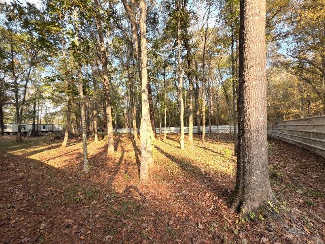 256 County Road 2146