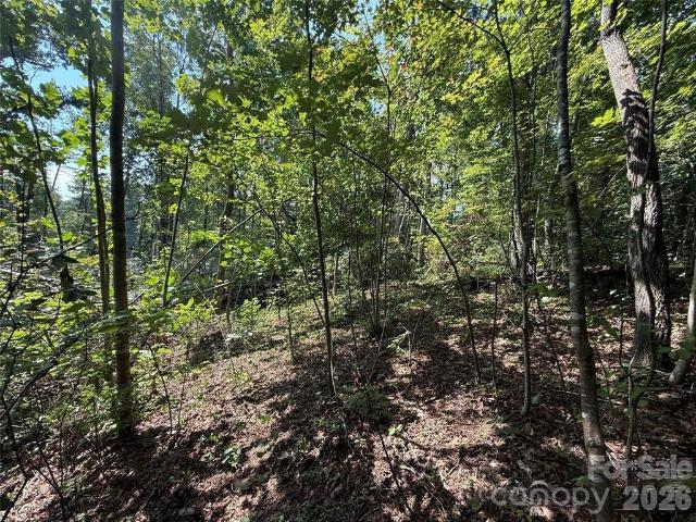 256 Burge Mountain Road