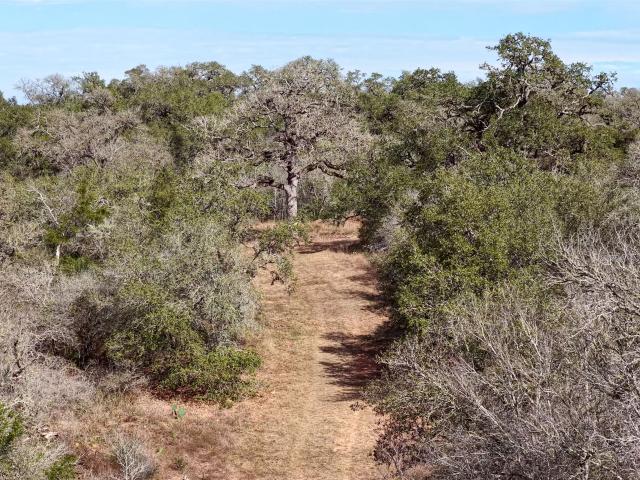 256 Greasy Bend Rd, Smithville, TX 78957 | MLS #8003